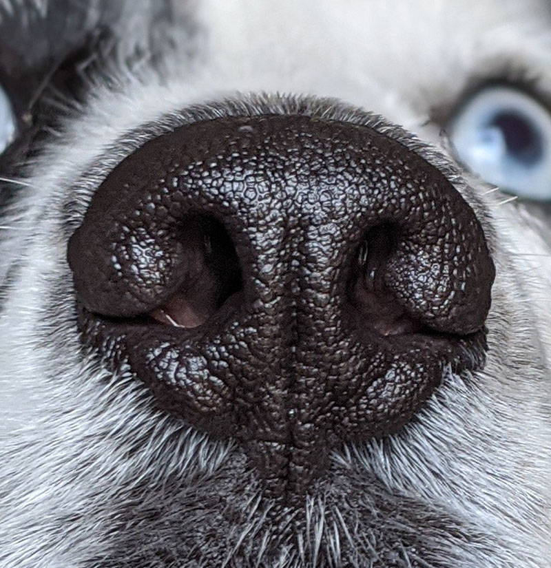 How It Works – Flutterbye Prints